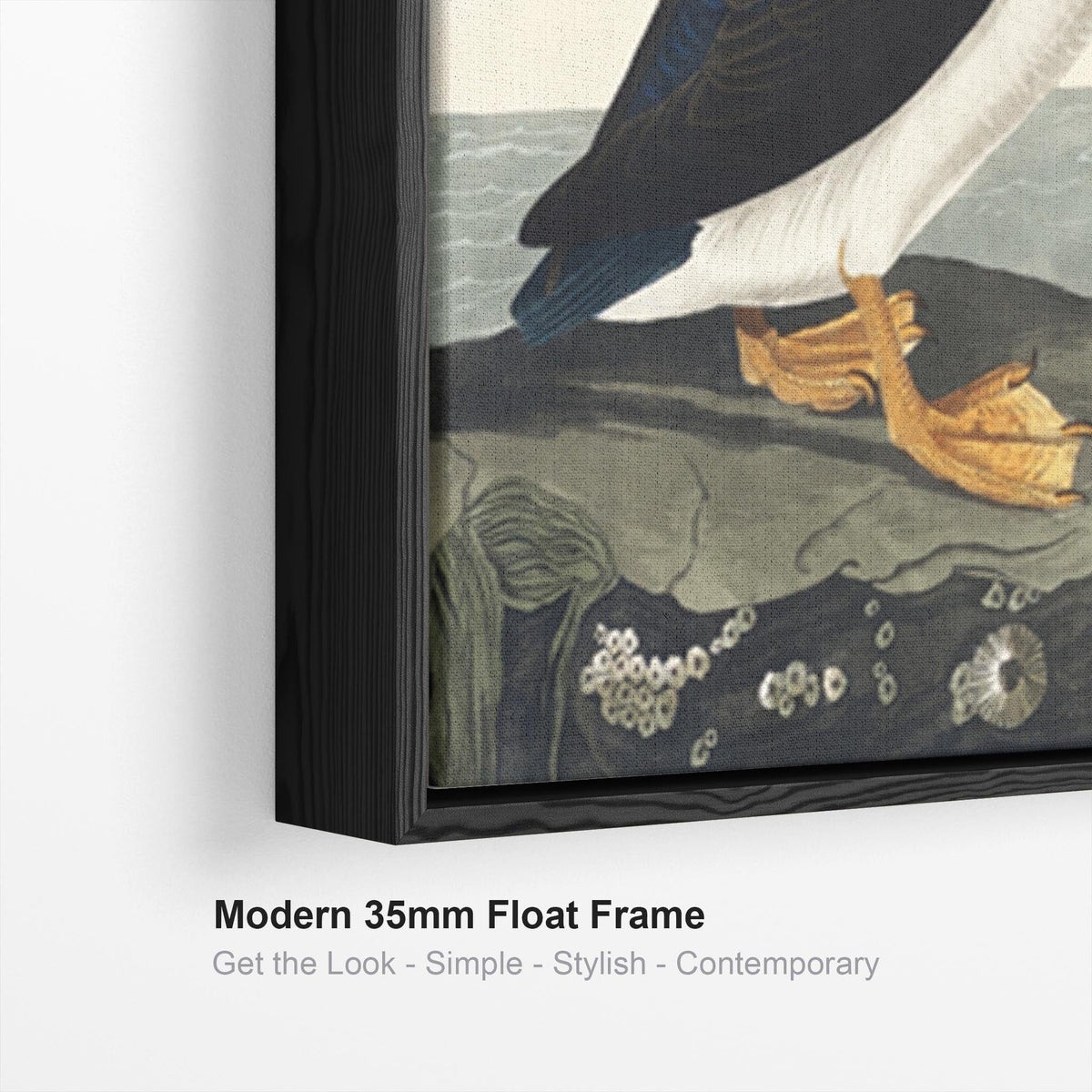 Large Billed Puffin - Framed Canvas Wall Art - John James Audubon - Bi ...