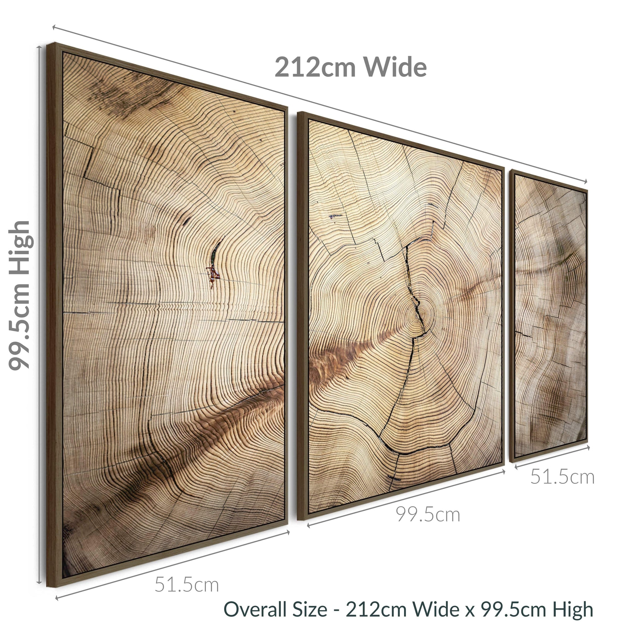 Extra Large Framed Canvas Wall Art Pictures for Living Room - Natural ...