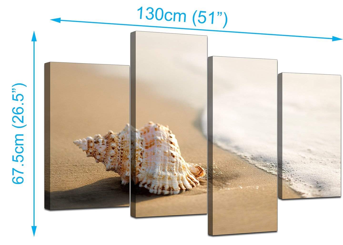 Sea Shells Shore Beach Canvas